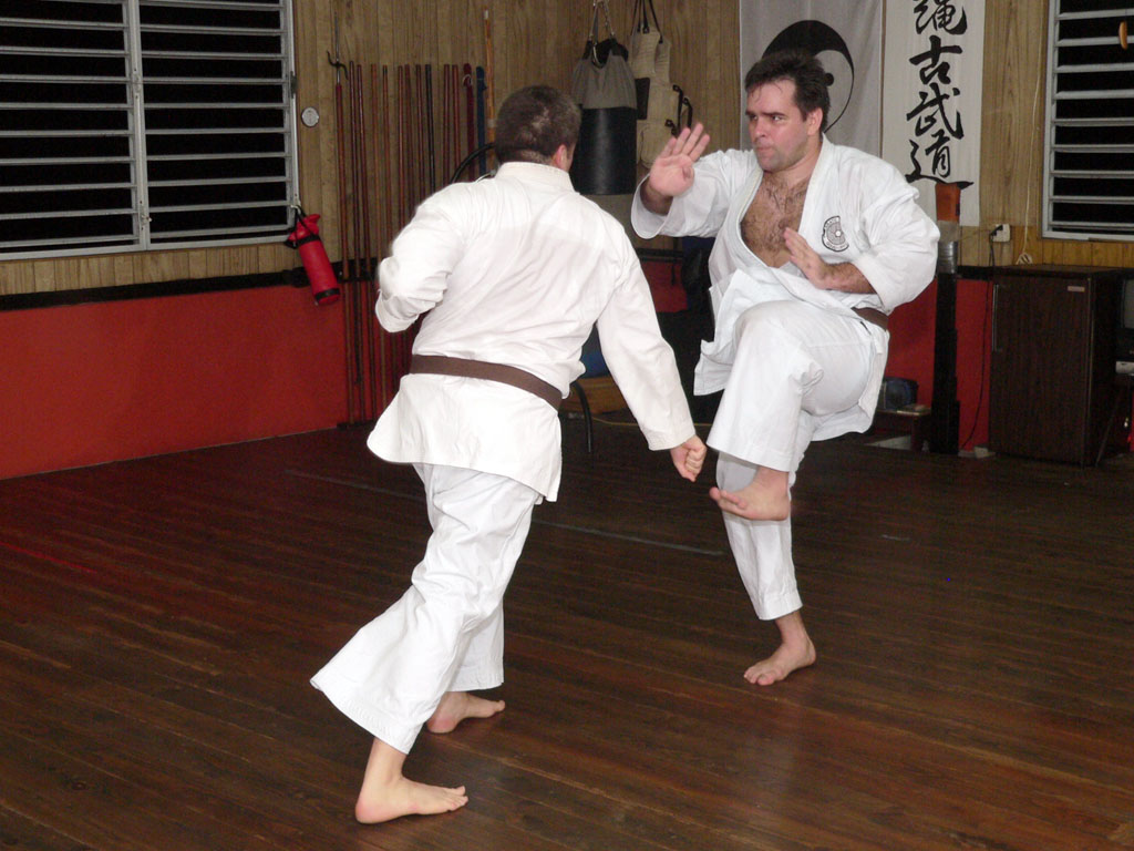 P1110067 – Karate Clásico Goju-Ryu